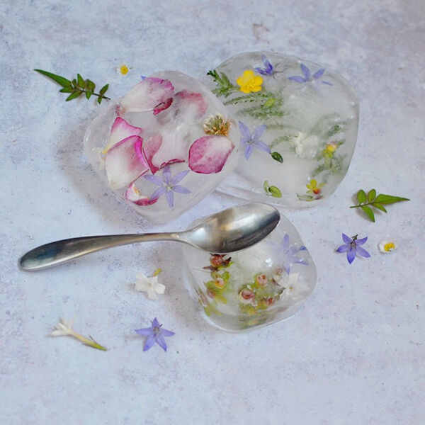 How to Make Botanical Ice Blocks | Hobbycraft