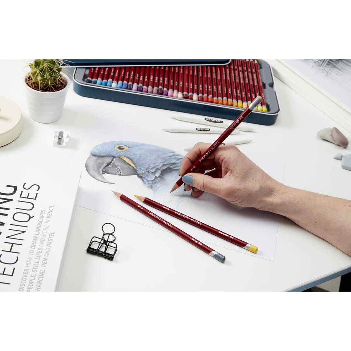 Derwent Pastel Pencils 12 Pack | Hobbycraft