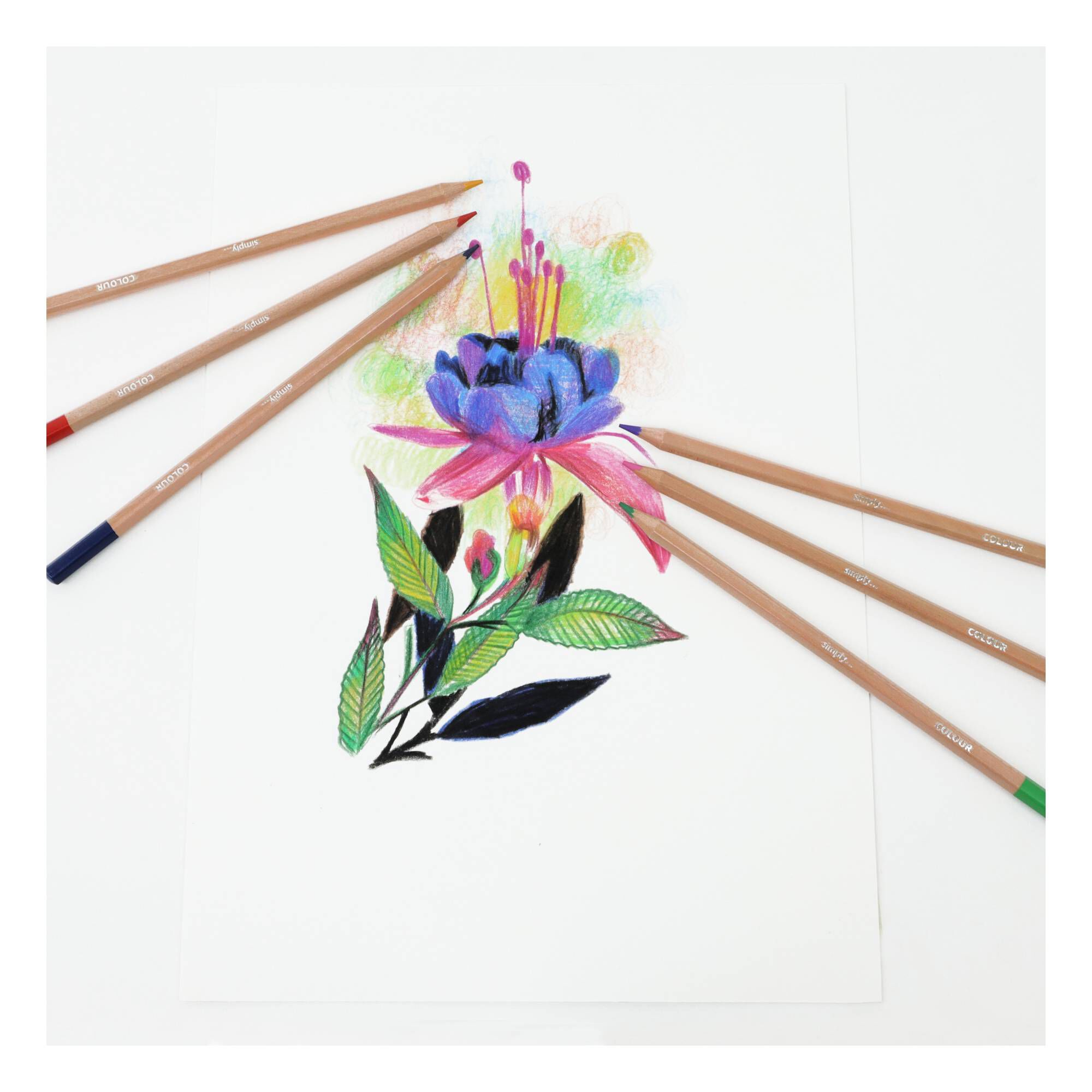 Daler-Rowney Simply Colouring Pencils 12 Pack | Hobbycraft