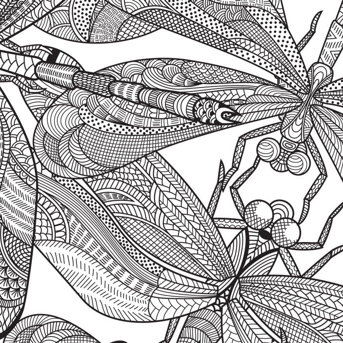 Dragonfly Free Pattern Download | Hobbycraft