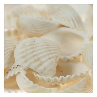 Mixed Bag of Cup Shells 250g | Hobbycraft