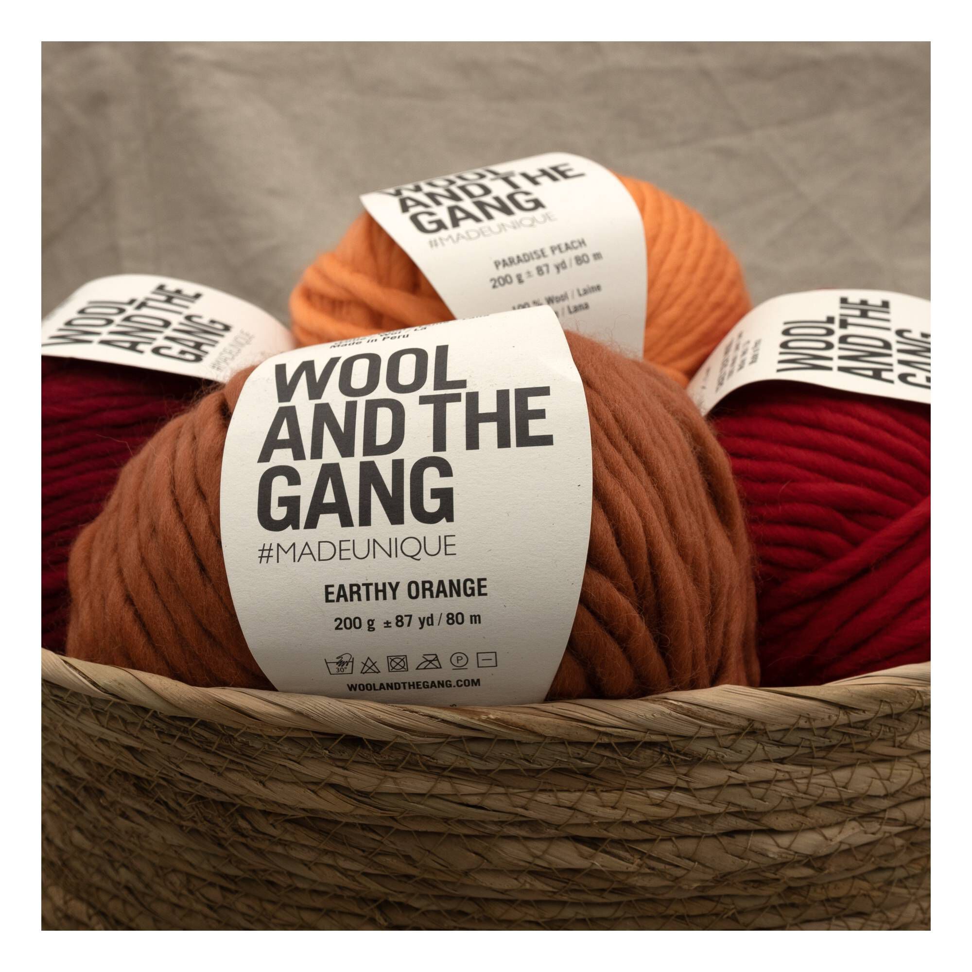 Wool and the Gang True Blood Red Crazy Sexy Wool 200g | Hobbycraft