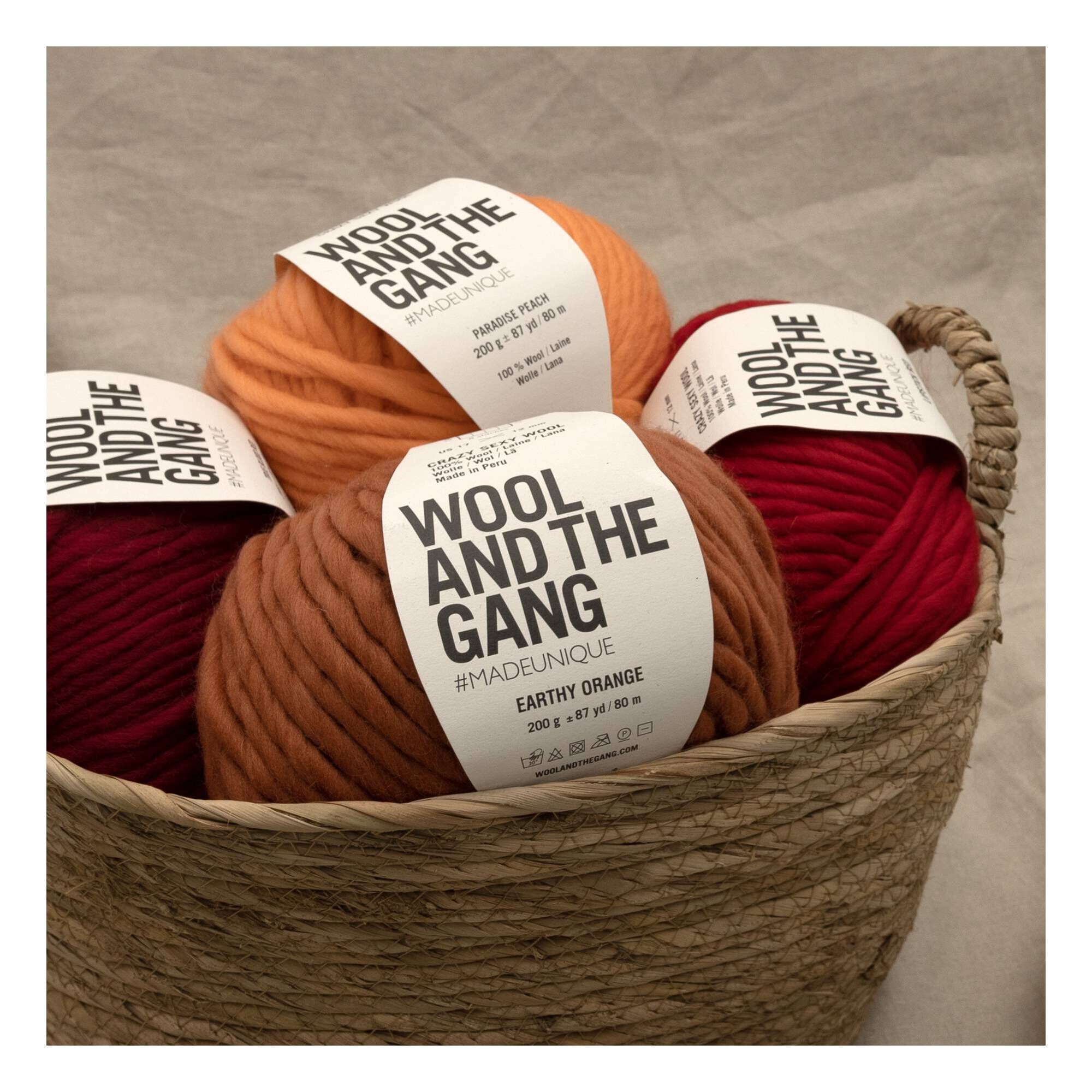 Wool and the Gang True Blood Red Crazy Sexy Wool 200g | Hobbycraft