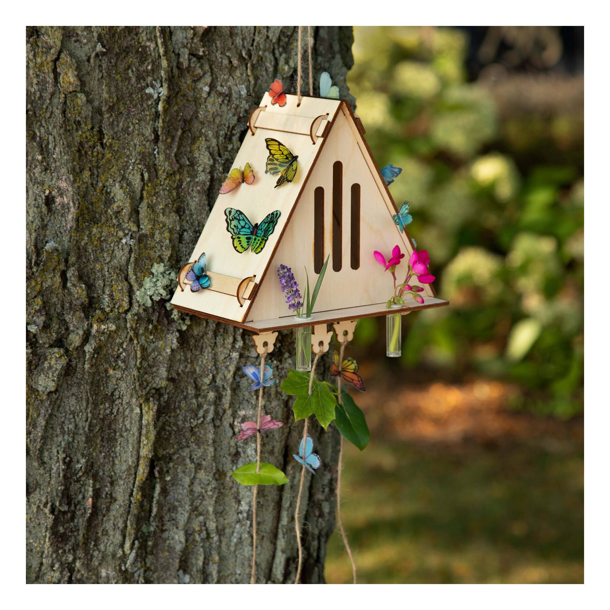 Make A Butterfly House | Hobbycraft