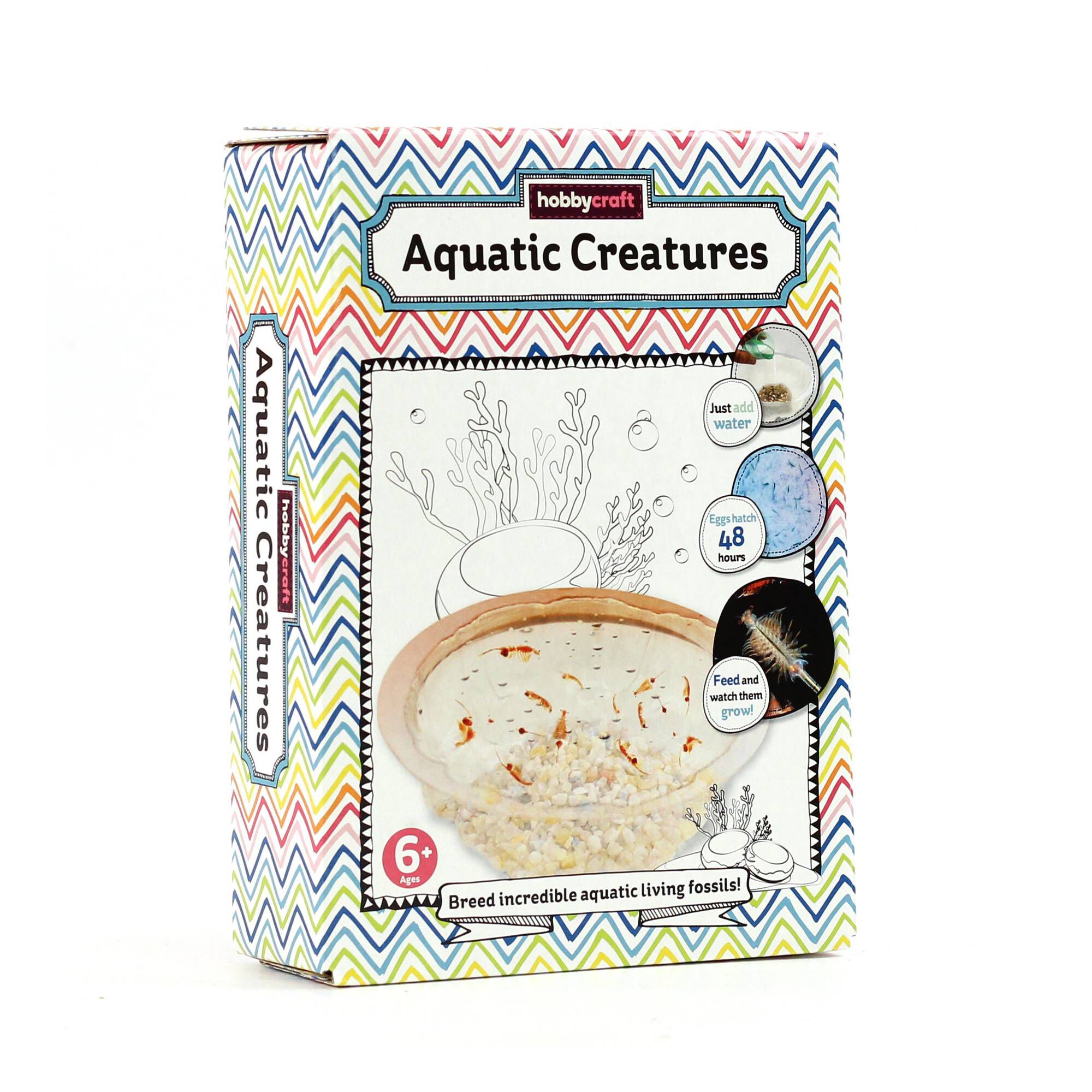 Aquatic Creatures Kit | Hobbycraft