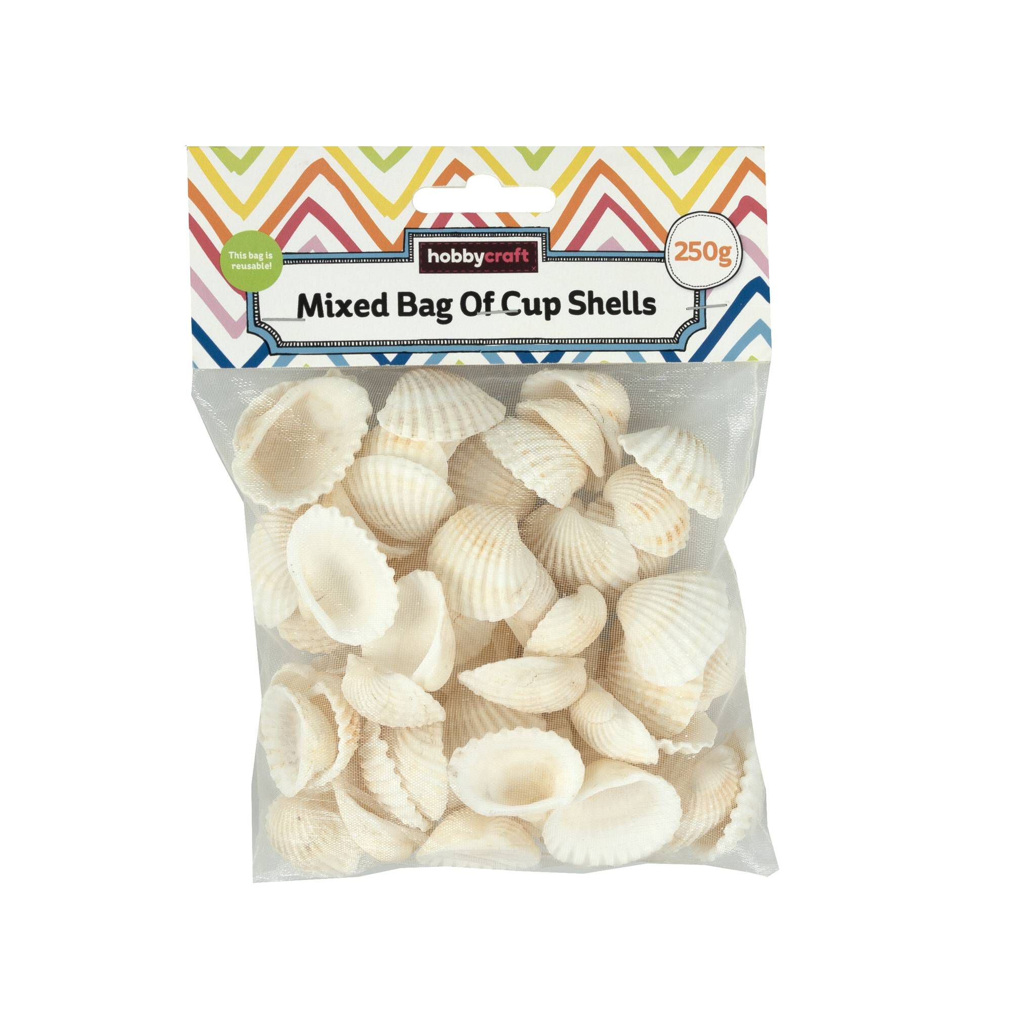 Mixed Bag of Cup Shells 250g | Hobbycraft