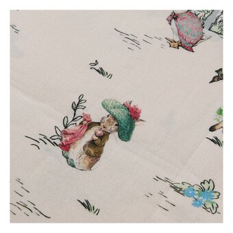 Peter Rabbit | Hobbycraft