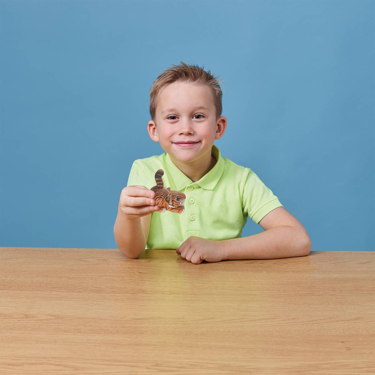 Eugy 3D Tiger Model | Hobbycraft