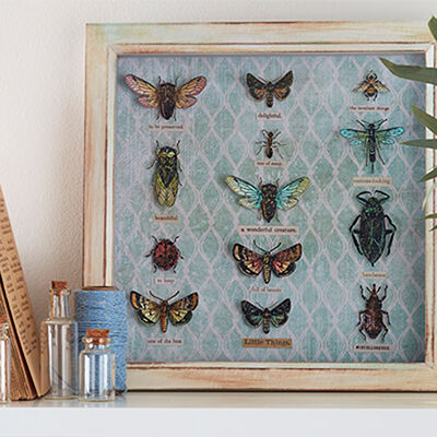 How to Create a Piece of Entomology Wall Art | Hobbycraft
