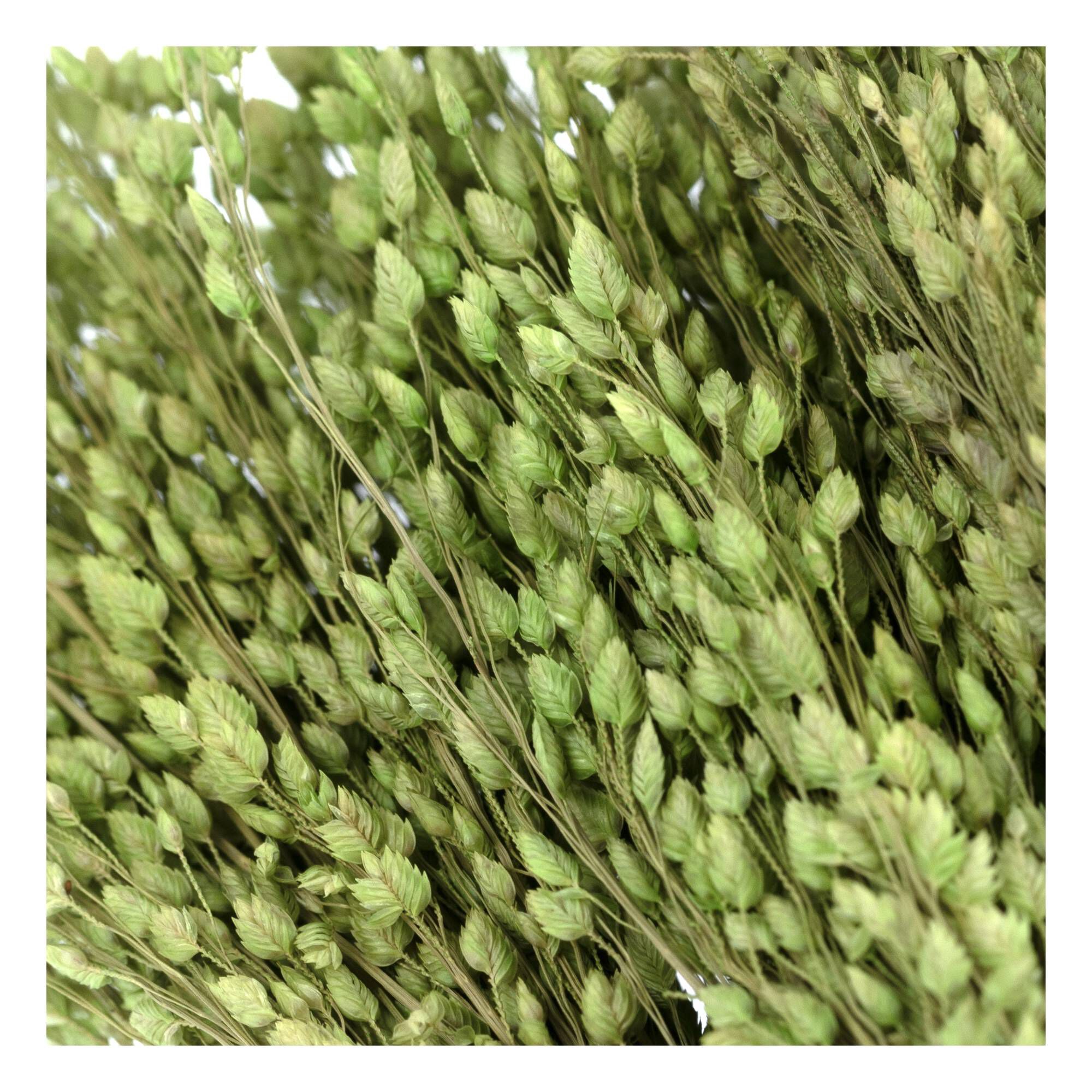 Natural Sundries Set 58 Pieces | Hobbycraft