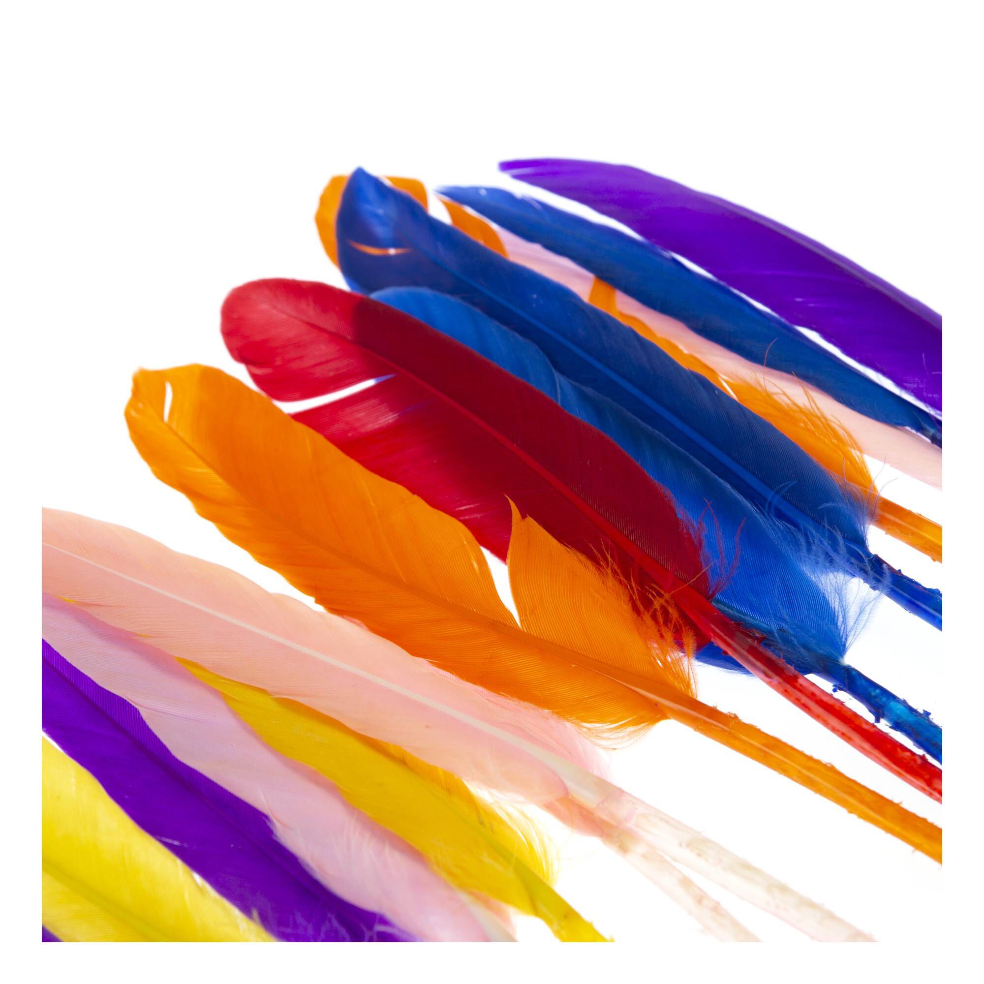 Assorted Quill Feathers 15 Pack | Hobbycraft