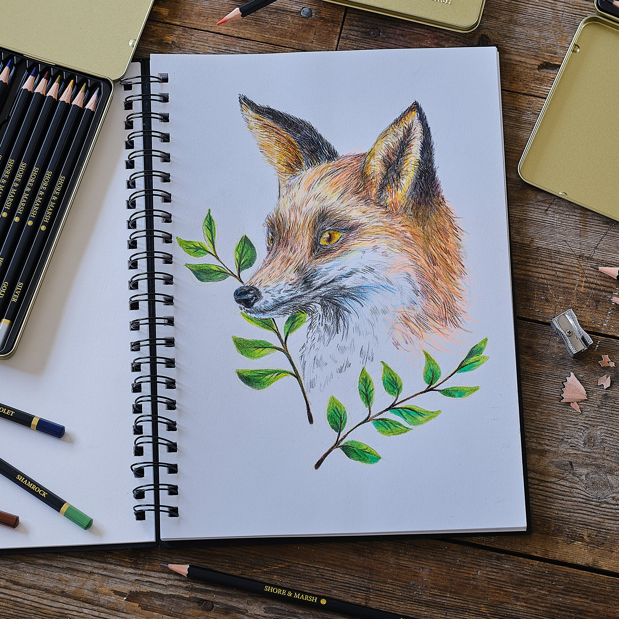 How to Sketch a Fox | Hobbycraft