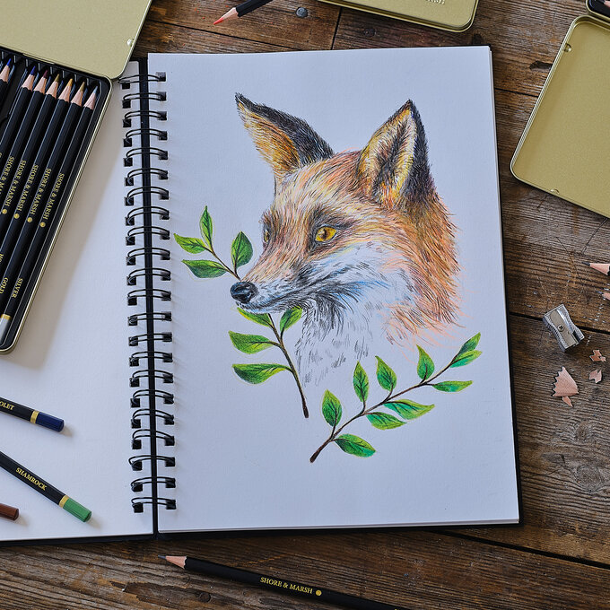 Fox Sketch 160 Foxes Ideas In 2025 | Fox Art, Animal Drawings, Fox
