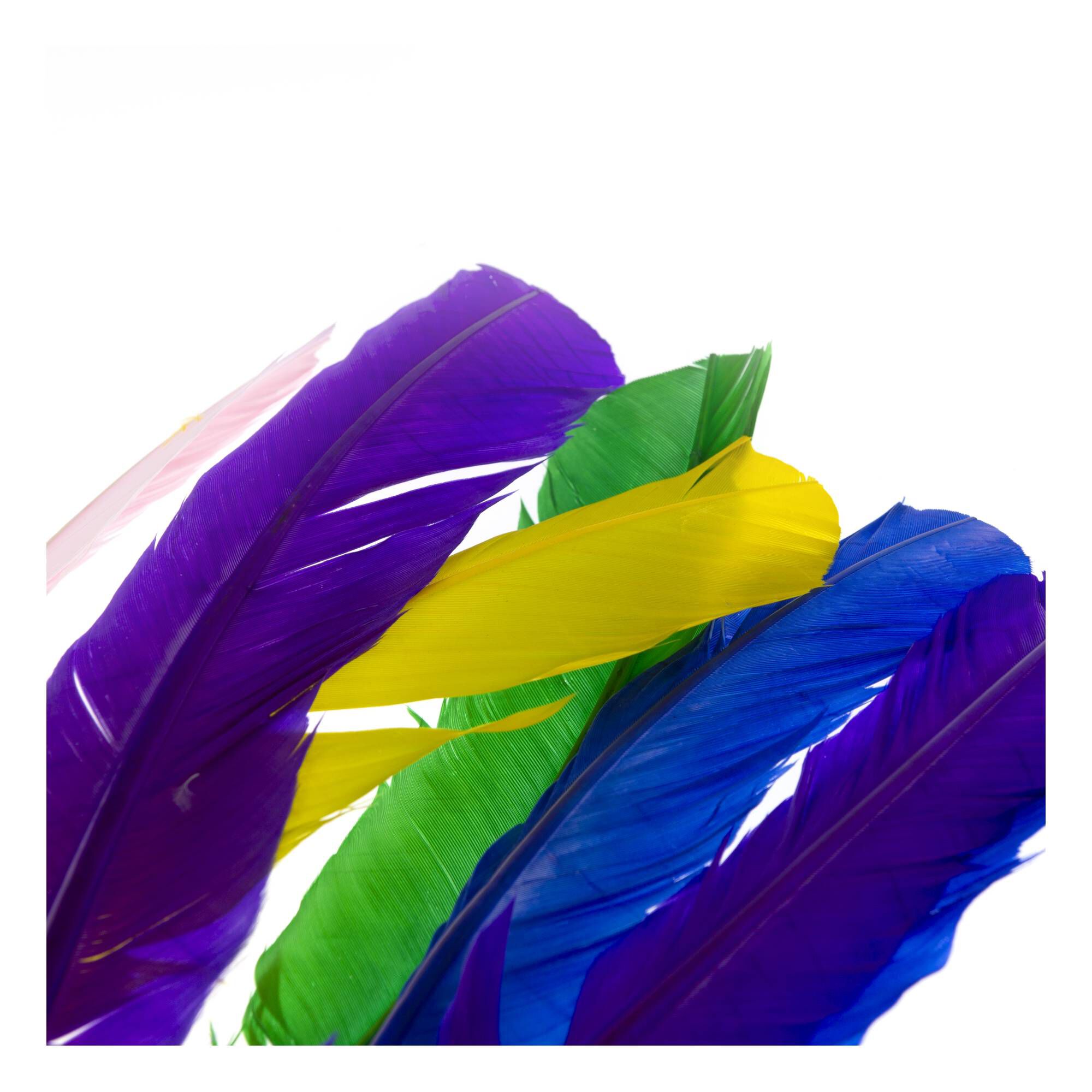 Assorted Feathers 7 Pack | Hobbycraft