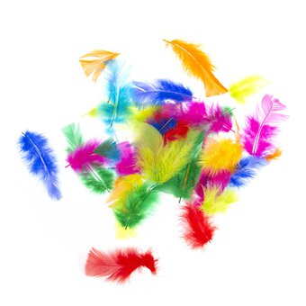 Bright Craft Feathers 5g | Hobbycraft