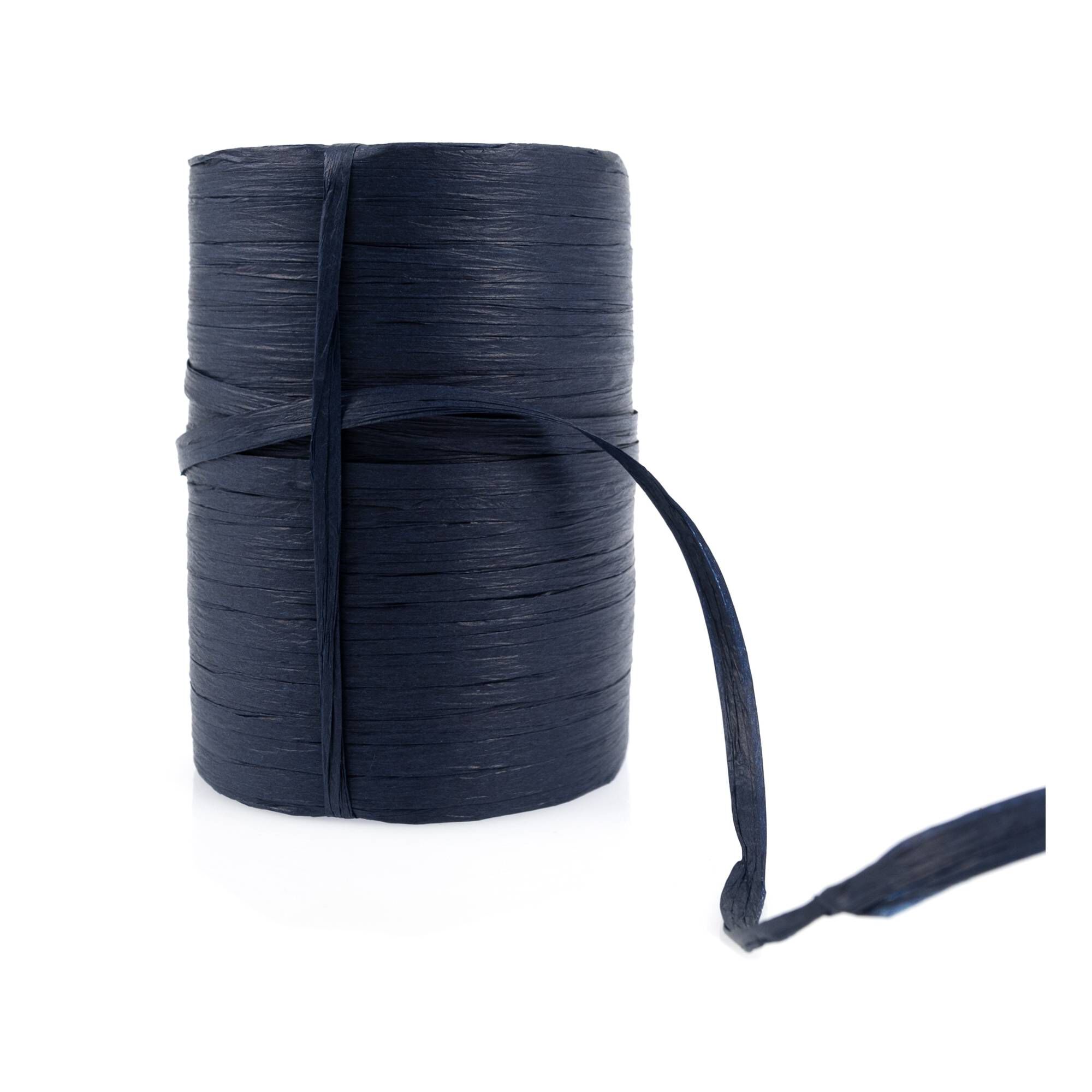 Wool and the Gang Midnight Blue Ra-Ra-Raffia 100g | Hobbycraft