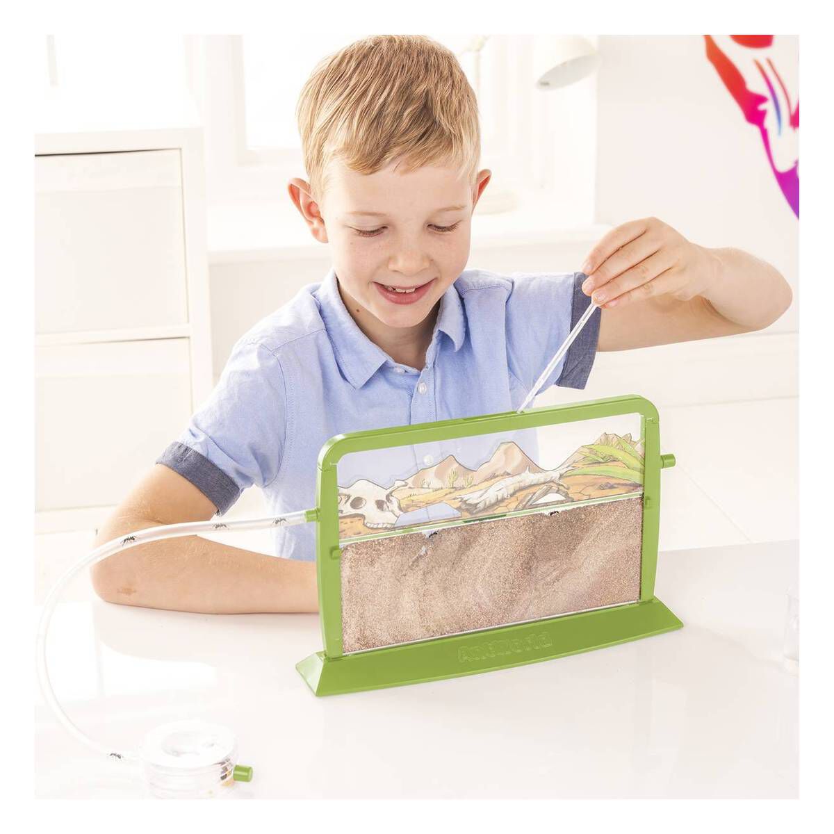 My Living World Ant World Kit | Hobbycraft