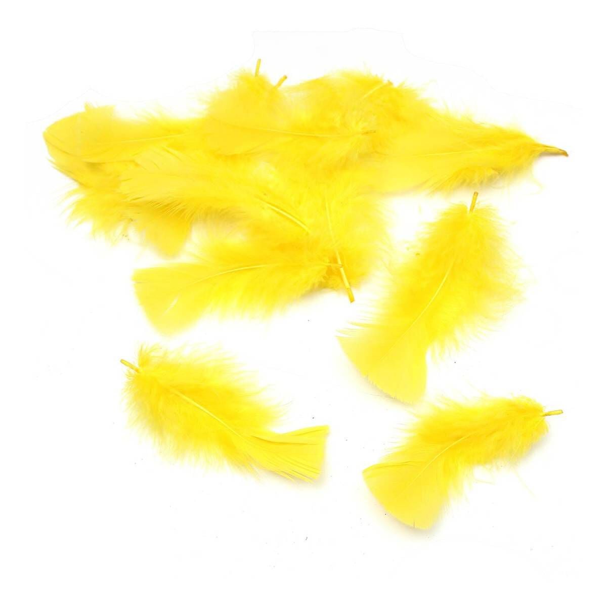 Yellow Craft Feathers 5g | Hobbycraft