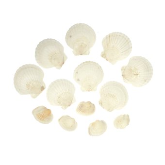 Seashell Painting Kit 13 Pack | Hobbycraft