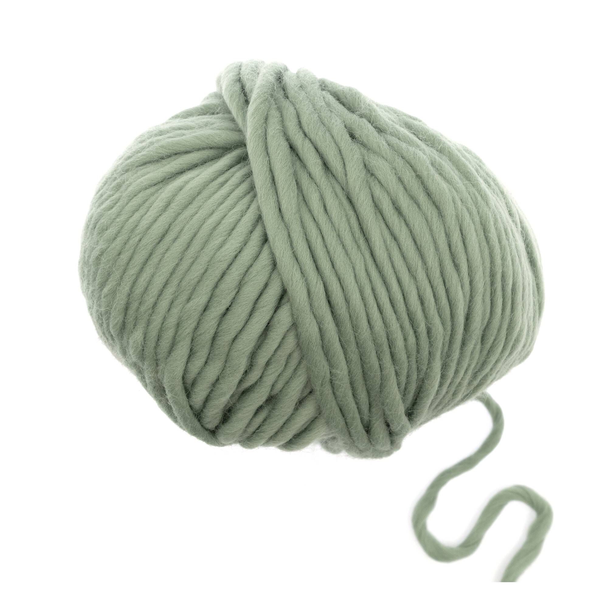 Wool and the Gang Eucalyptus Green Crazy Sexy Wool 200g | Hobbycraft