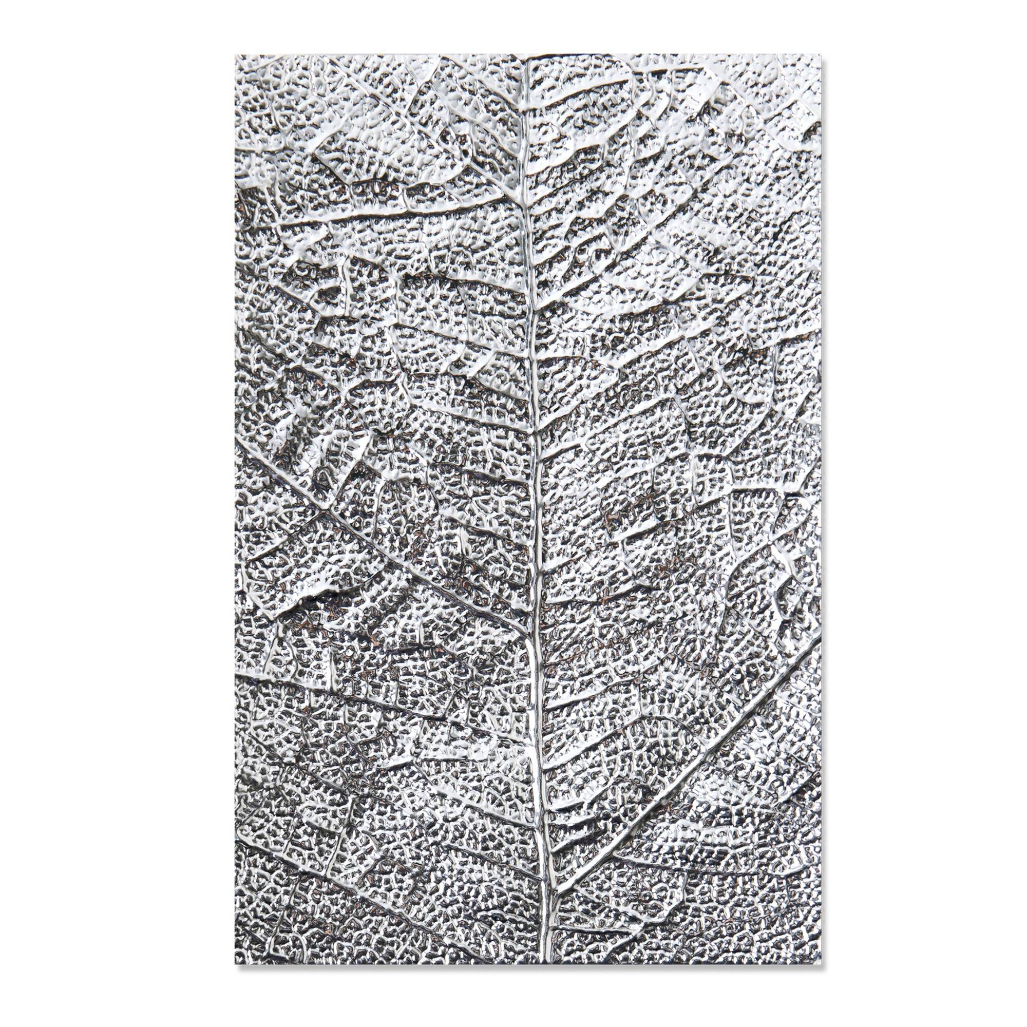 Sizzix Leaf Veins 3D Embossing Folder A6 | Hobbycraft