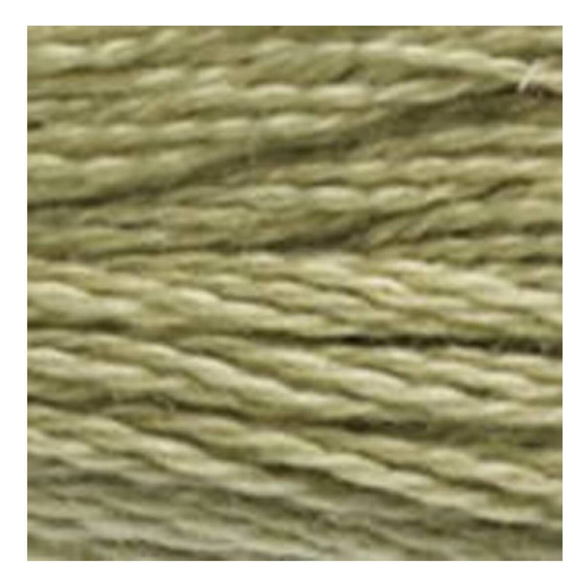 DMC Green Mouline Special 25 Cotton Thread 8m (3013) | Hobbycraft
