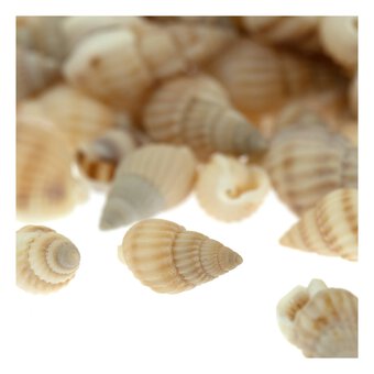 Mixed Bag of Natural Shells 250g | Hobbycraft
