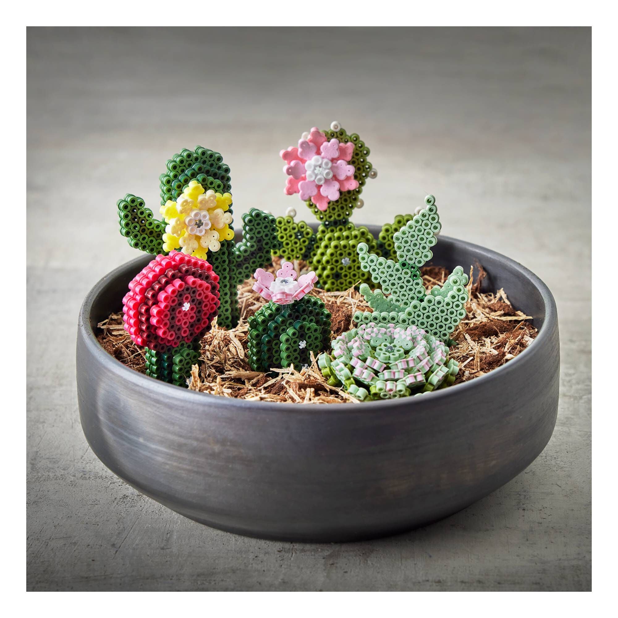 Hama Beads Succulent Art Set | Hobbycraft