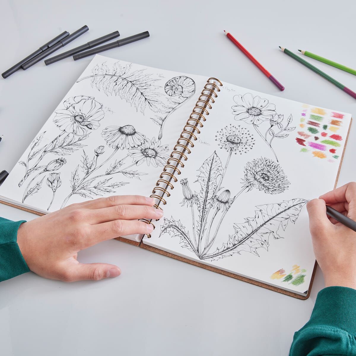 How to Draw Botanical Illustrations with a Fineliner | Hobbycraft