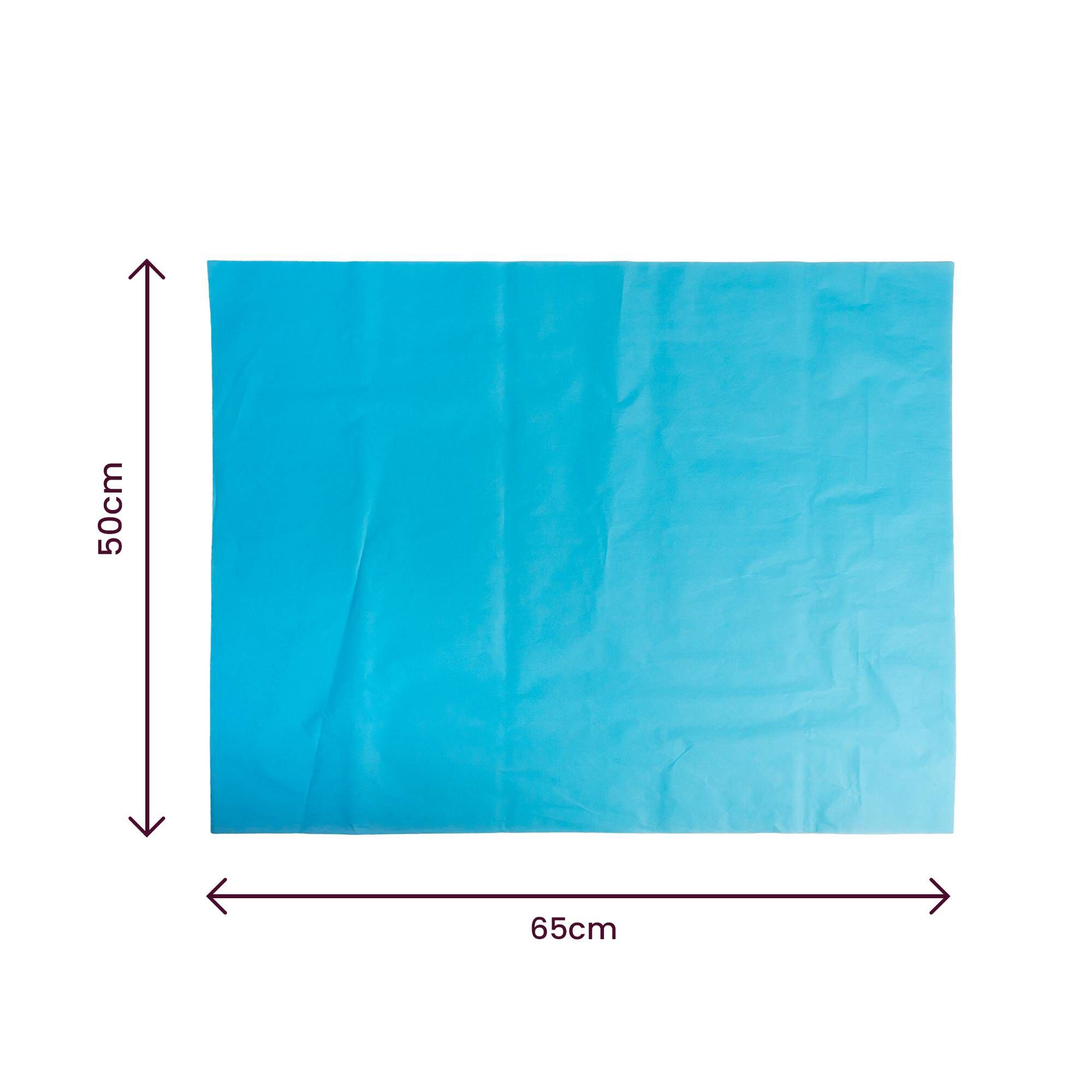 Assorted Tissue Paper 50cm x 65cm 50 Pack | Hobbycraft