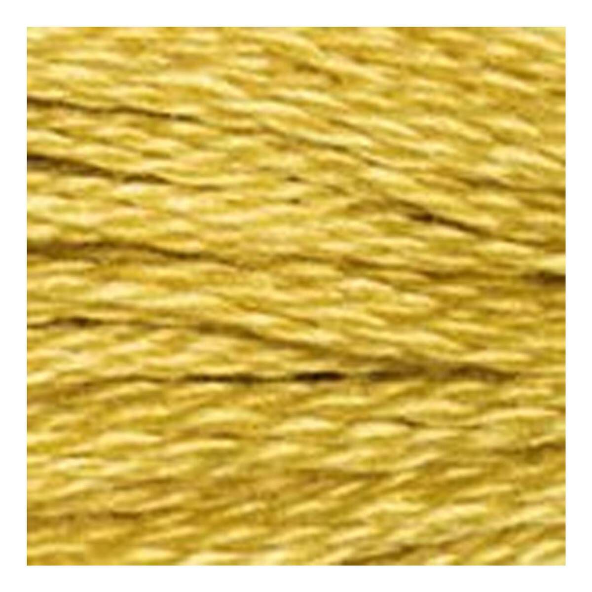 DMC Yellow Mouline Special 25 Cotton Thread 8m (3820) | Hobbycraft