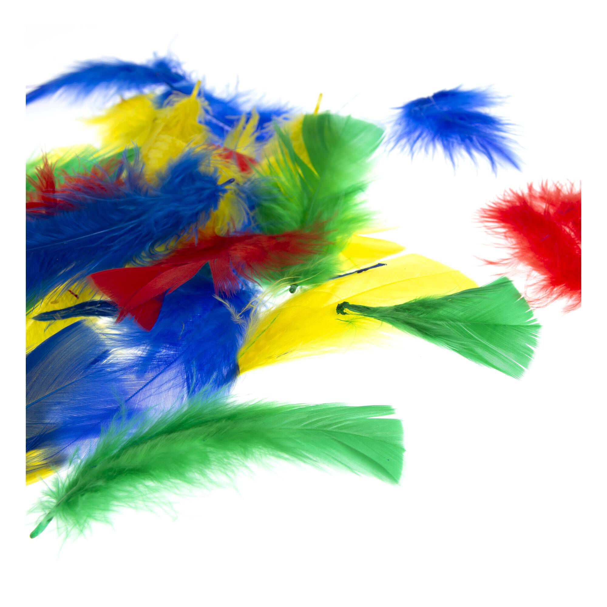 Fantasy Feathers 5g | Hobbycraft