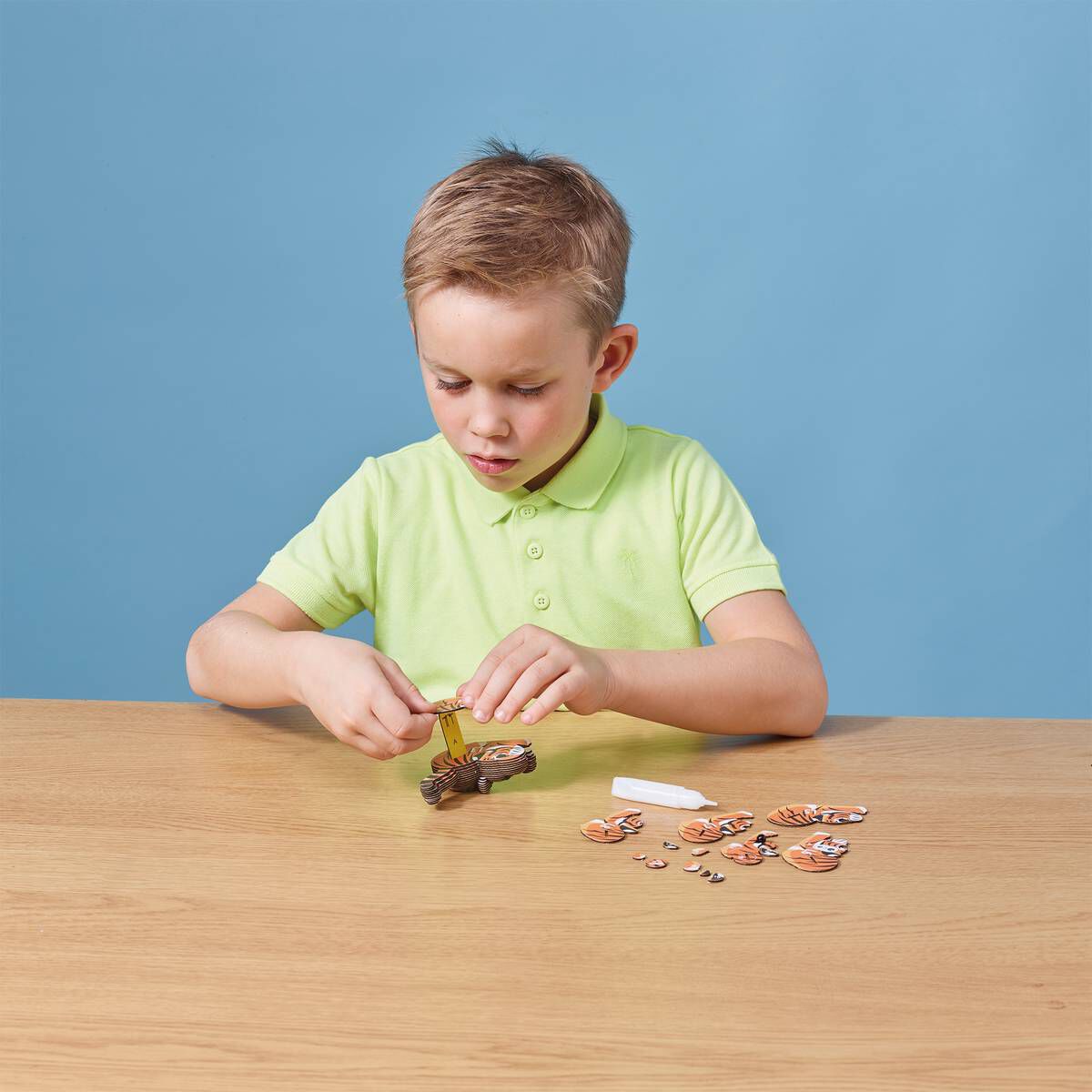 Eugy 3D Tiger Model | Hobbycraft