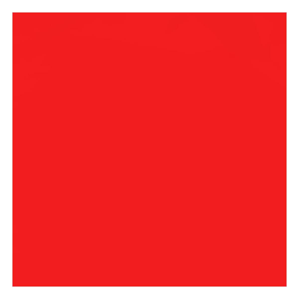 Red Ready Mixed Paint 300ml | Hobbycraft