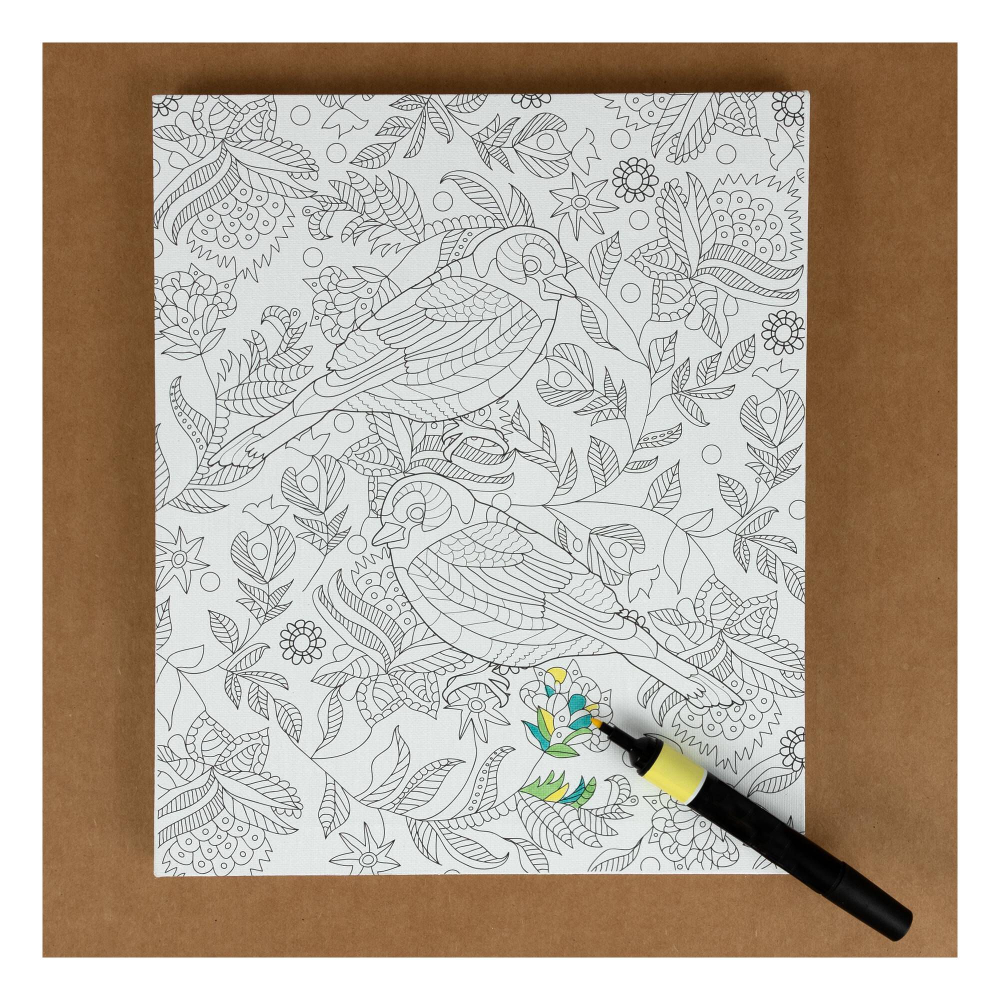Birds Colour-In Canvas | Hobbycraft