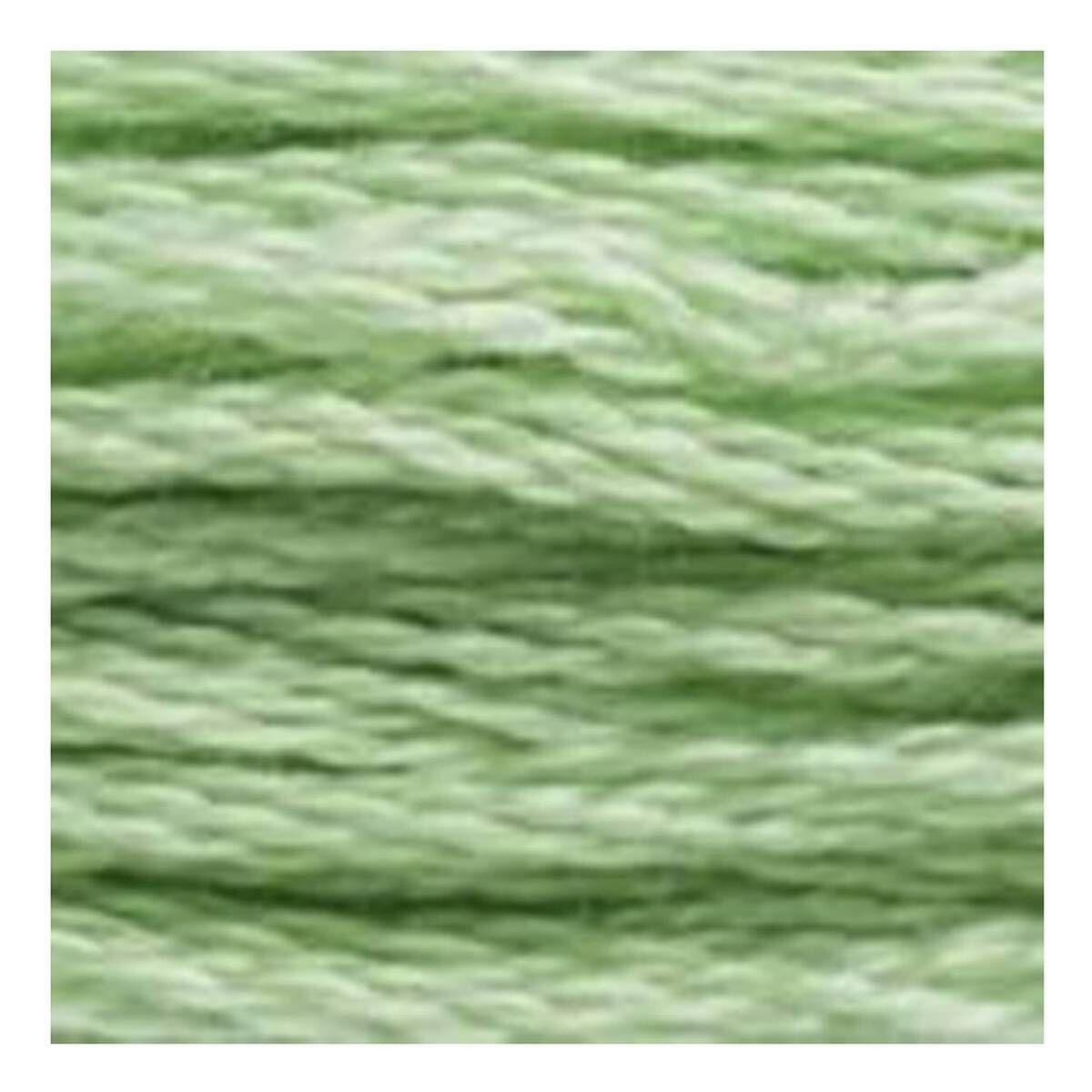 DMC Green Mouline Special 25 Cotton Thread 8m (164) | Hobbycraft