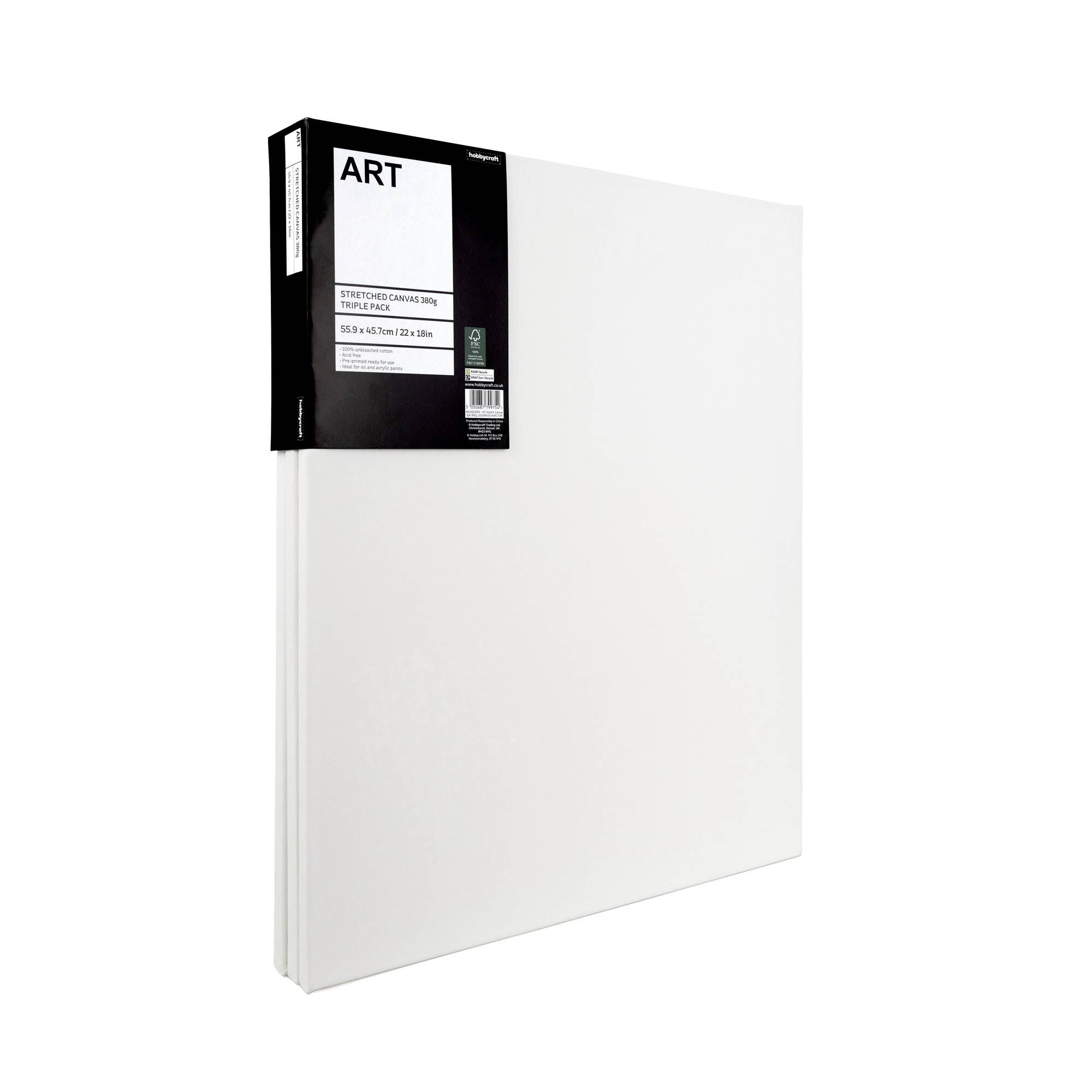 Stretched Canvas 55.9cm x 45.7cm 3 Pack | Hobbycraft