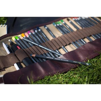 Derwent Procolour Pencils 24 Pack | Hobbycraft