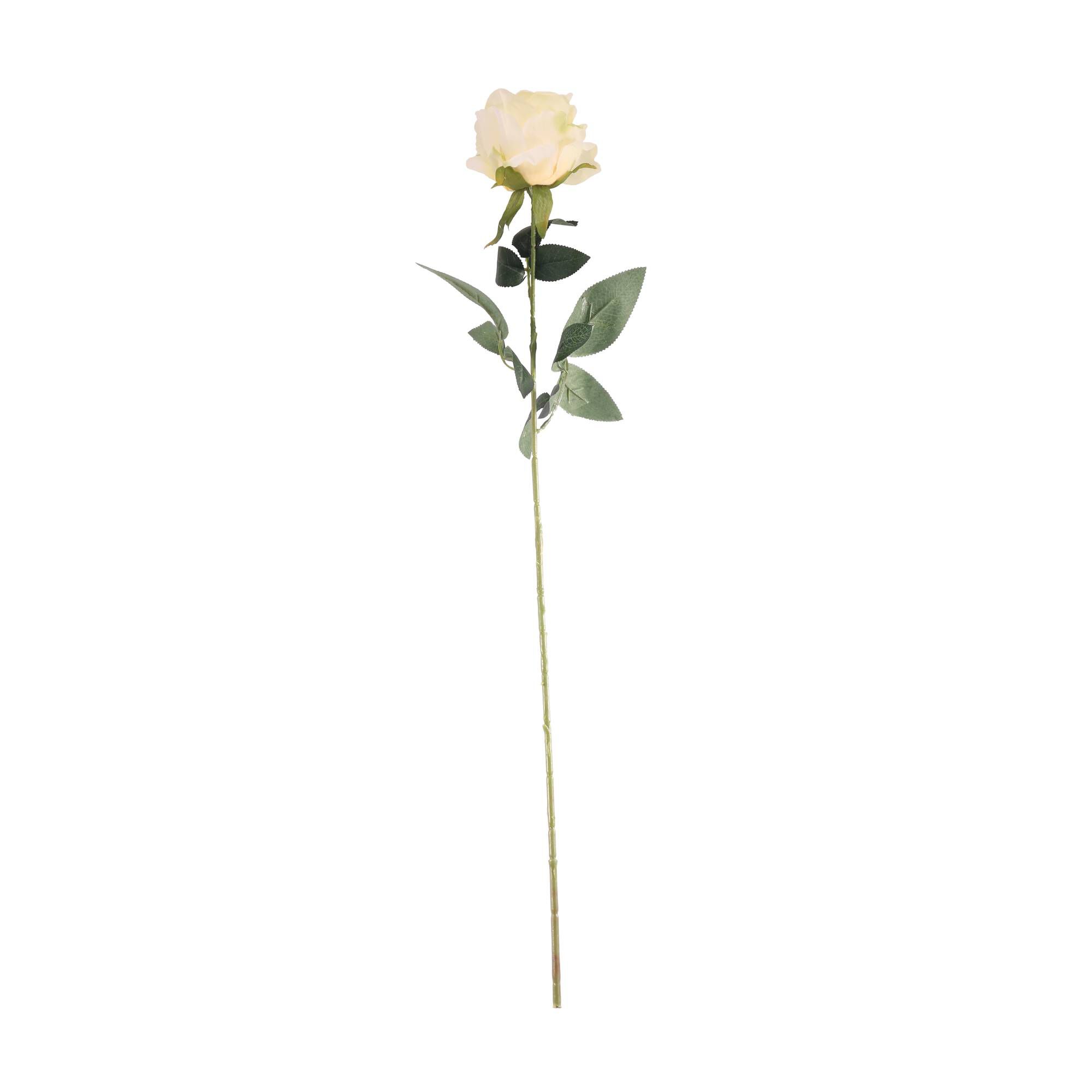 Yellow Arundel Rose 70cm | Hobbycraft