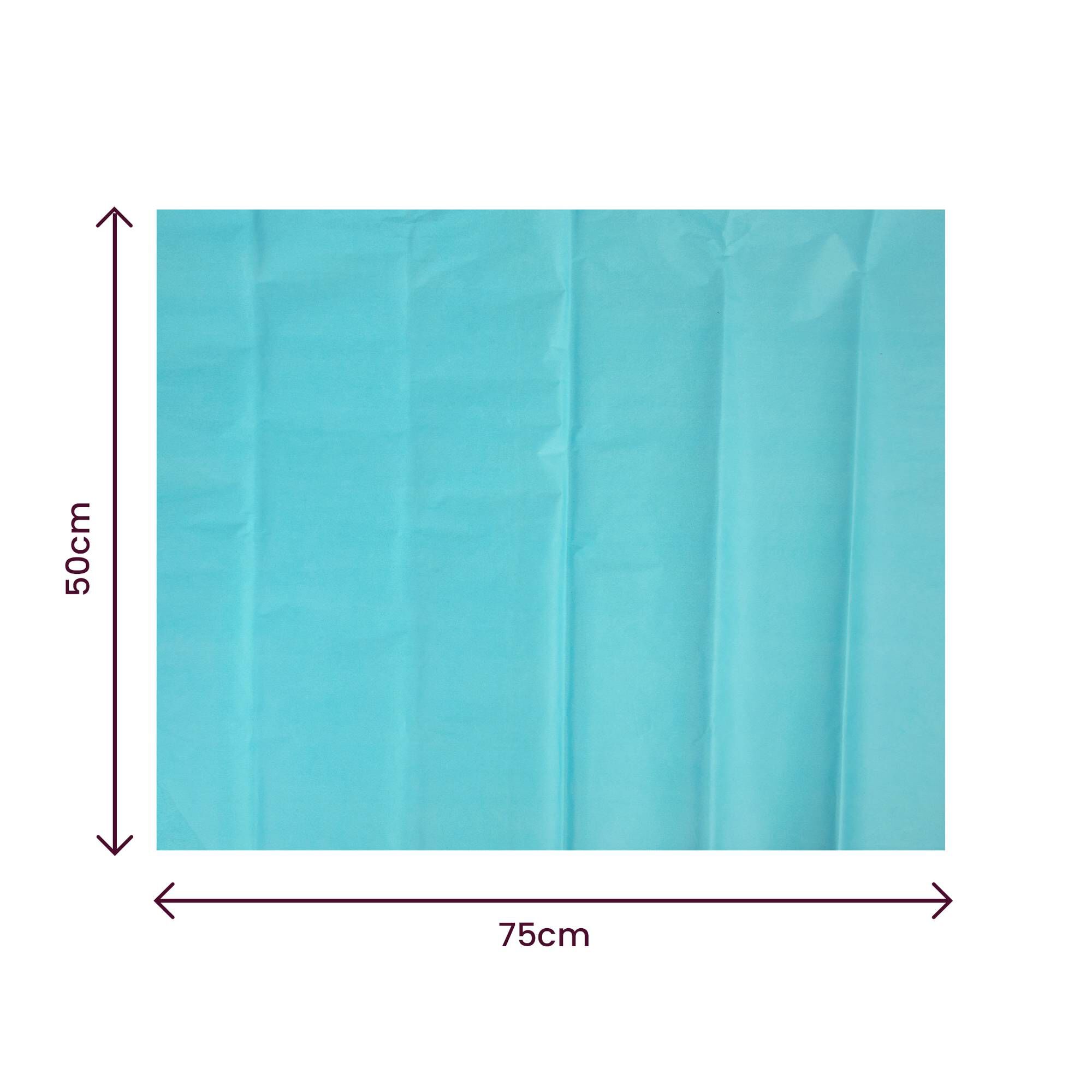 Assorted Tissue Paper 50cm x 75cm 20 Pack | Hobbycraft