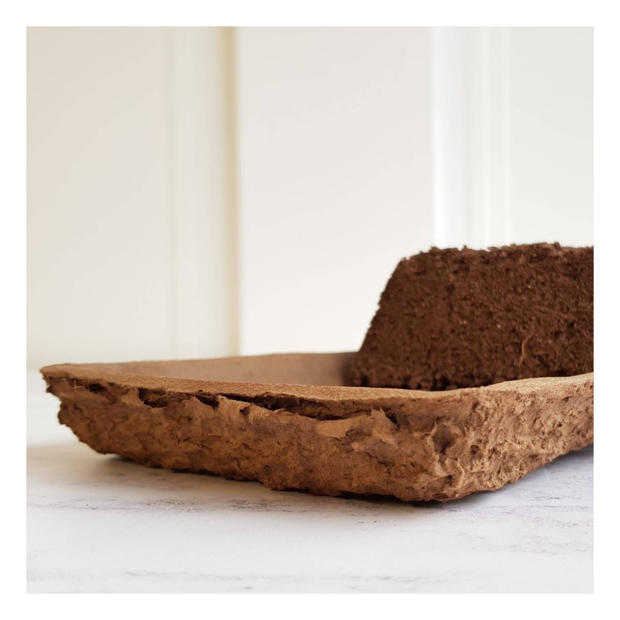 Oasis Biolot Base Brick Tray 25cm x 13cm x 2cm | Hobbycraft