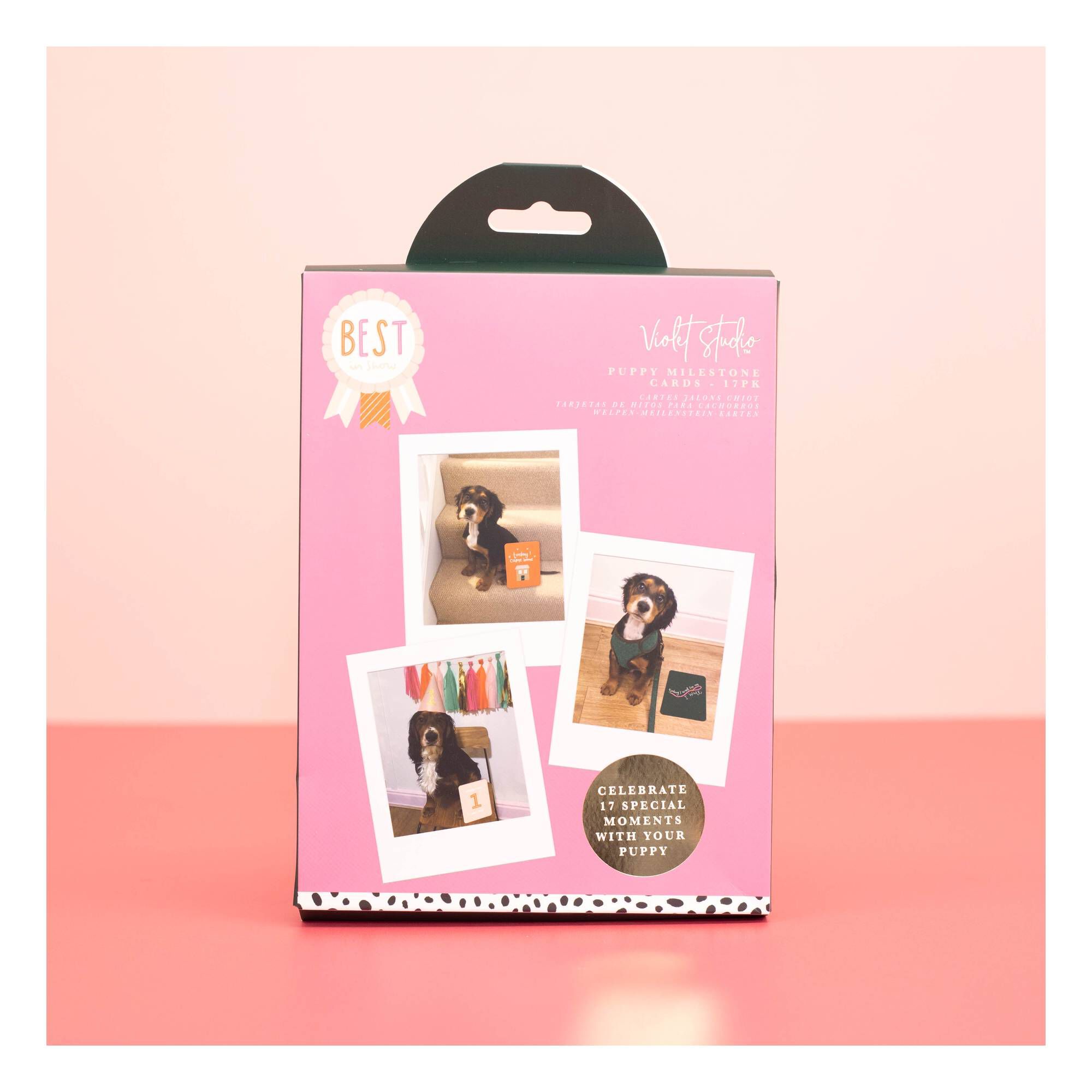 Violet Studio Best in Show Puppy Milestone Cards | Hobbycraft