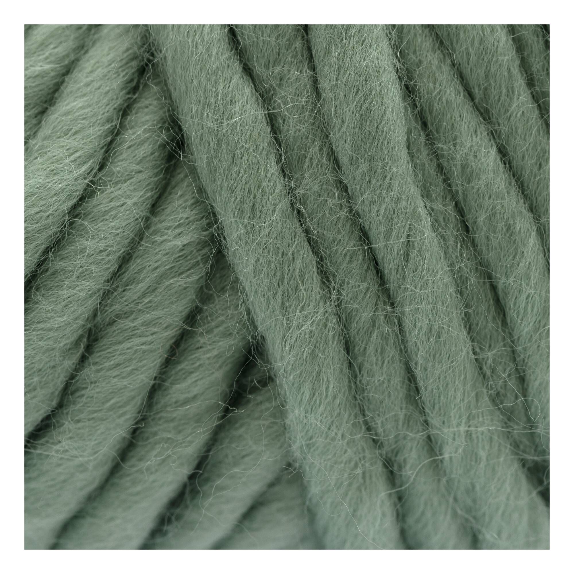 Wool and the Gang Eucalyptus Green Crazy Sexy Wool 200g | Hobbycraft