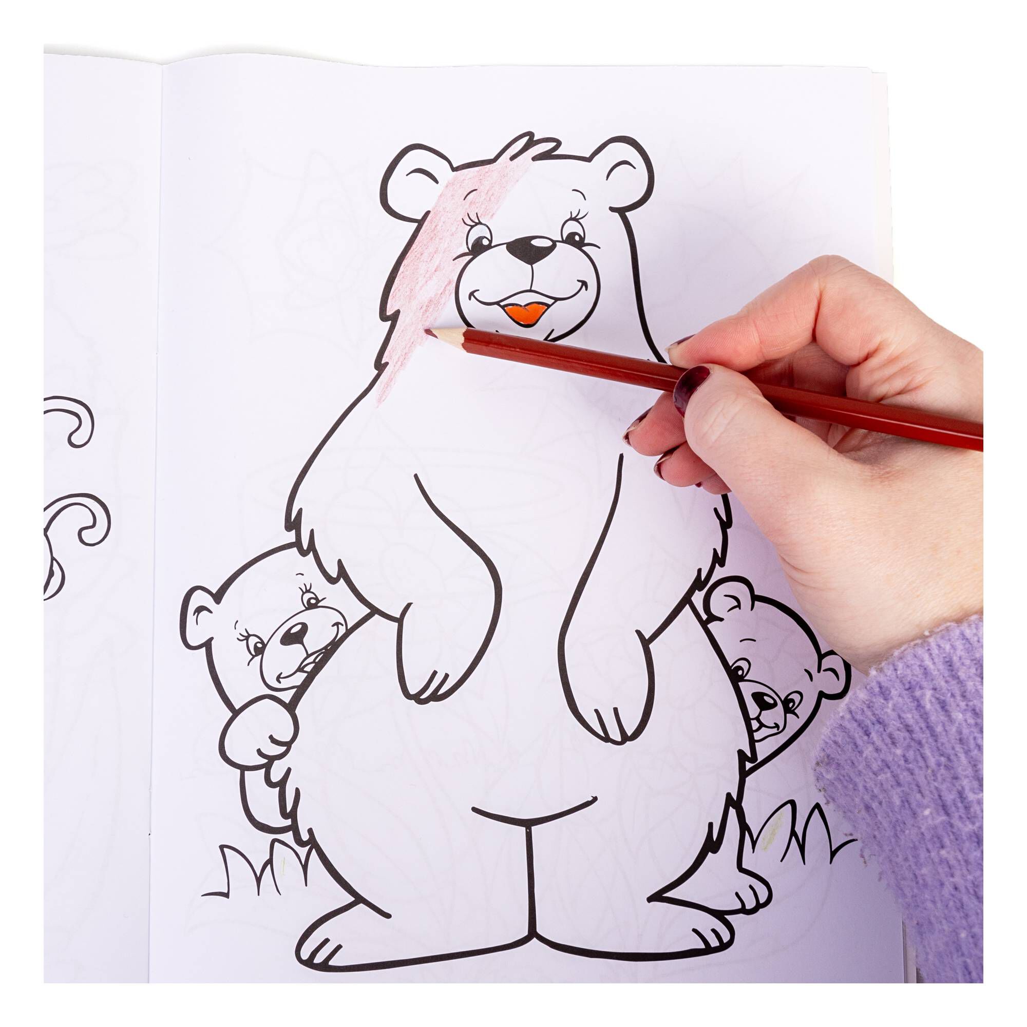 Crayola Bird Colouring Book | Hobbycraft