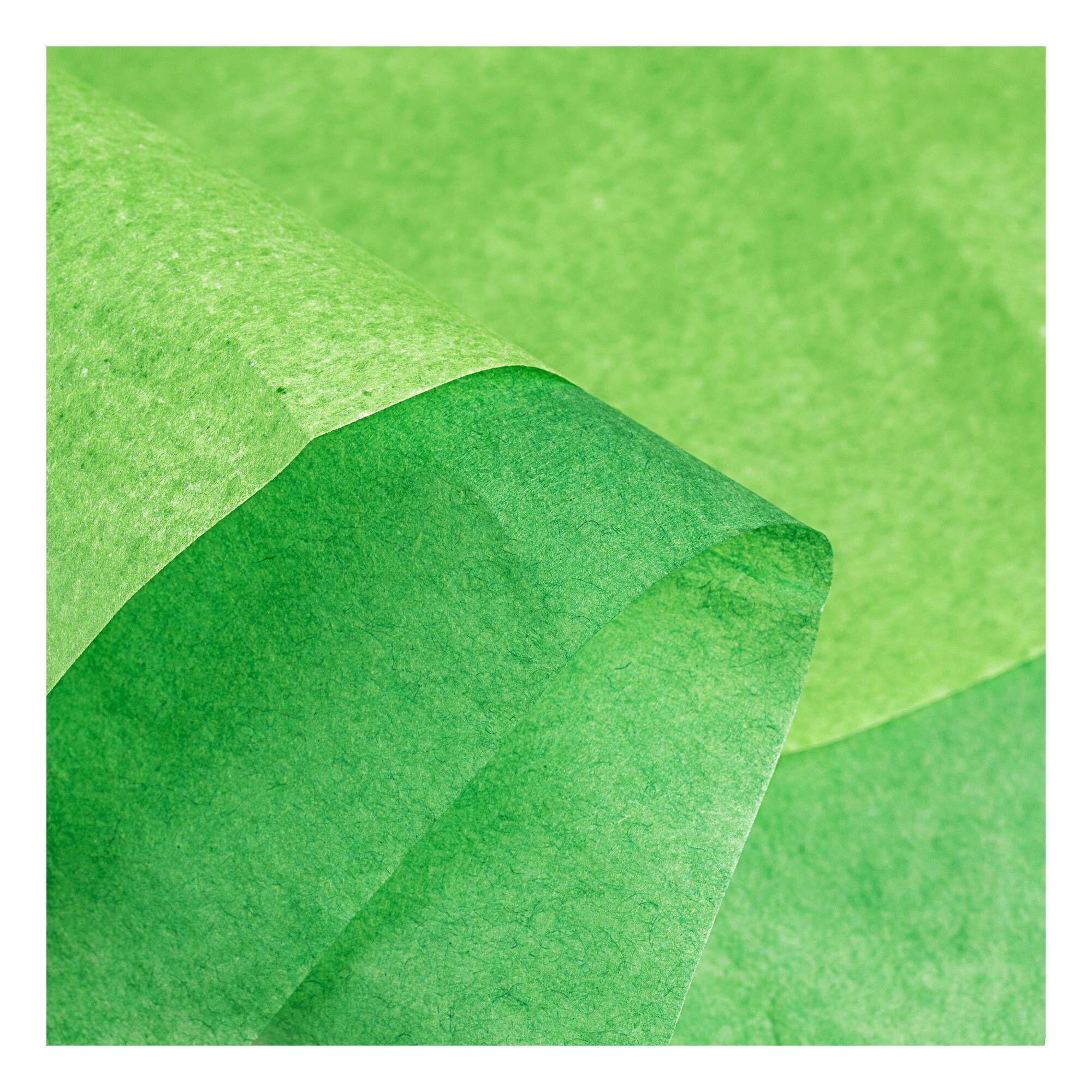 Green Apple Tissue Paper 50cm x 75cm 6 Pack | Hobbycraft