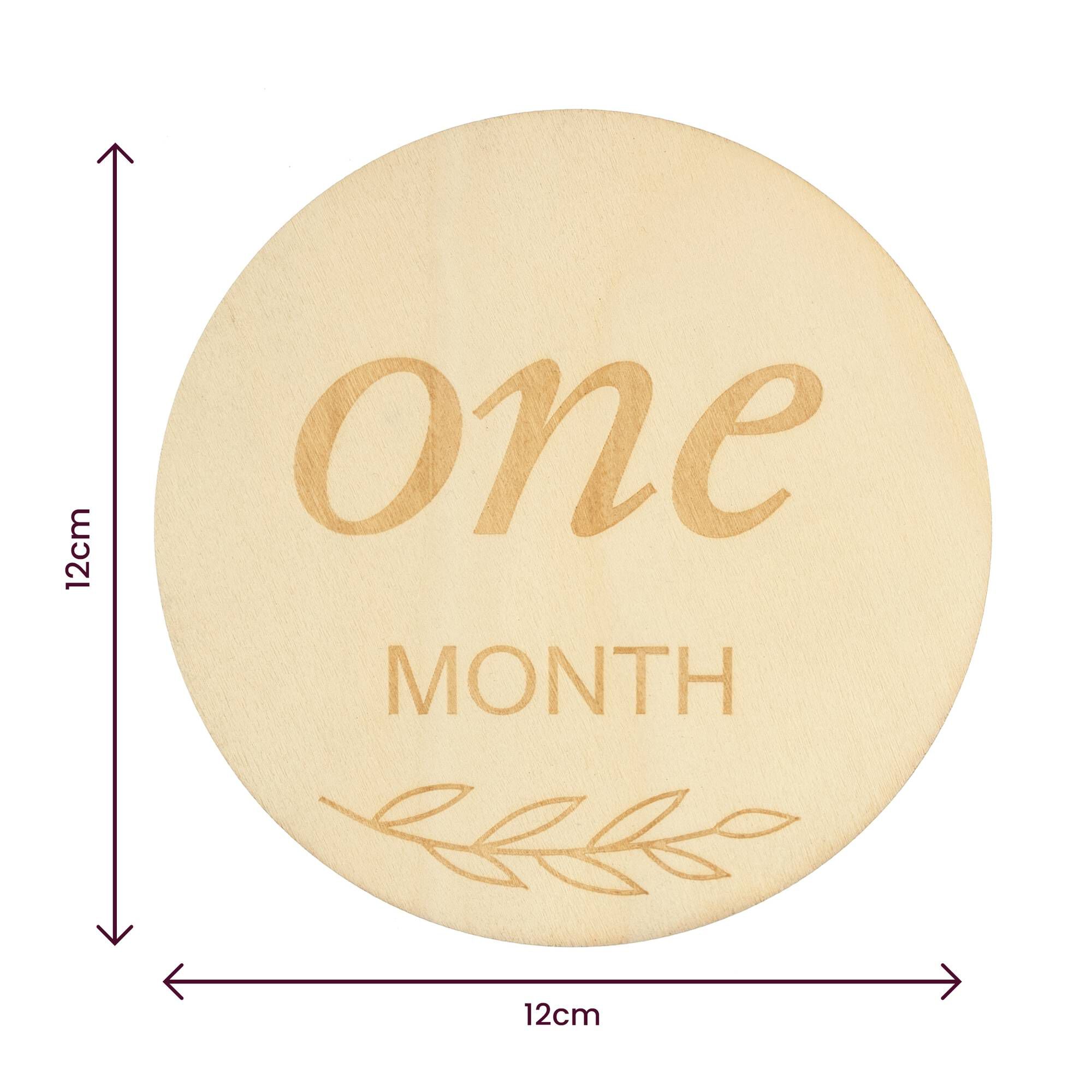Wooden Baby Milestone Plaques 12 Pack | Hobbycraft