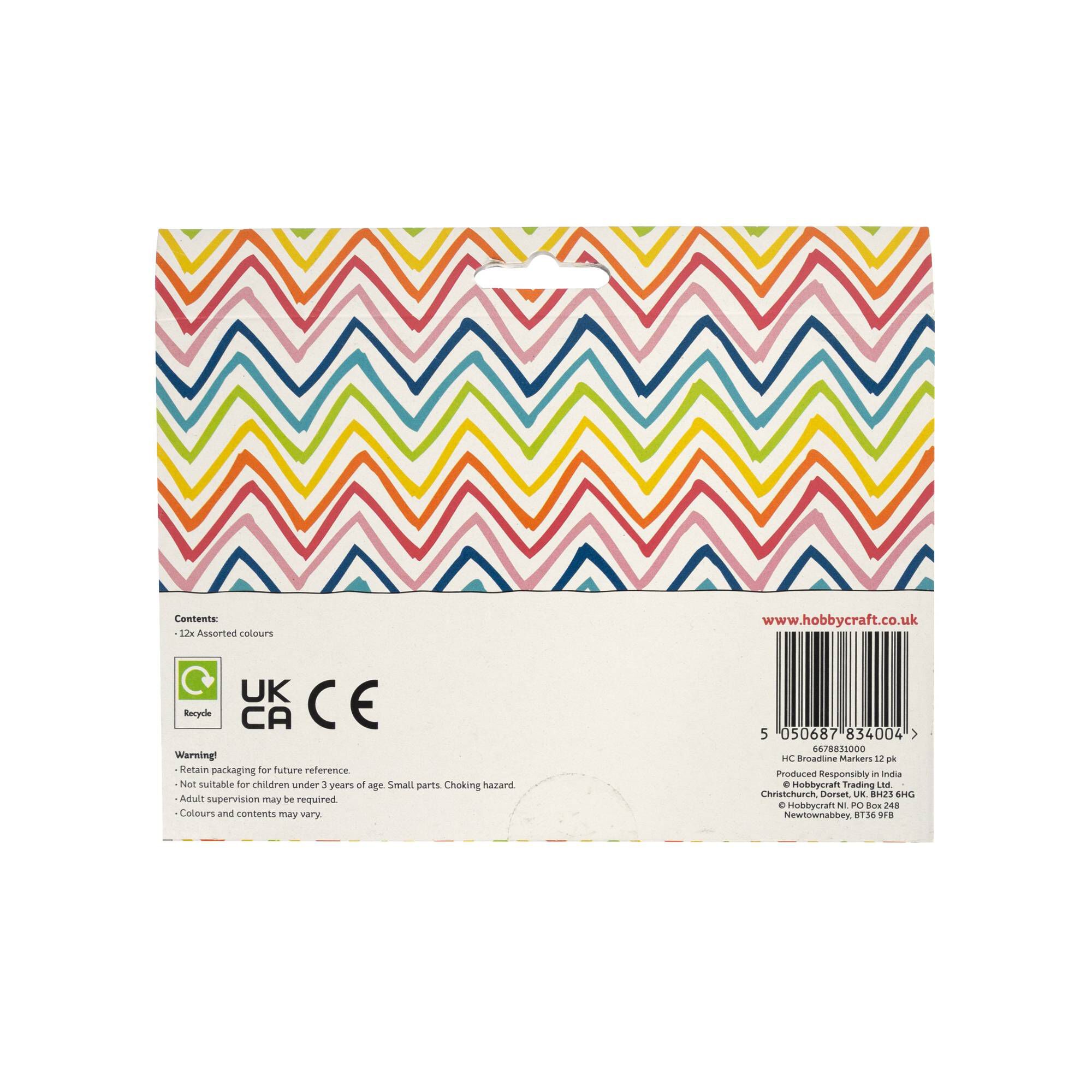 Chunky Markers 12 Pack | Hobbycraft