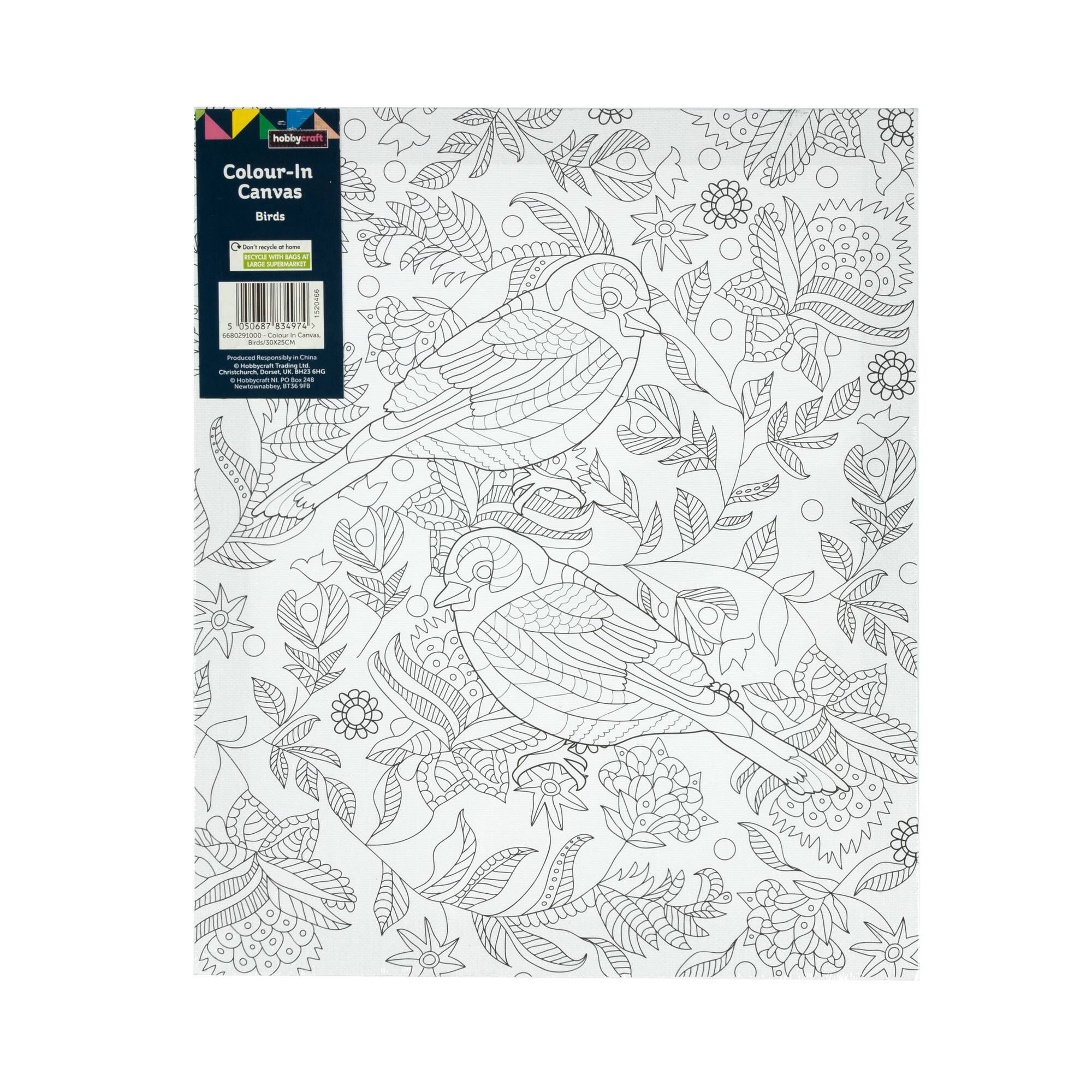 Birds Colour-In Canvas | Hobbycraft