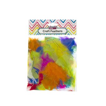 Bright Craft Feathers 5g | Hobbycraft