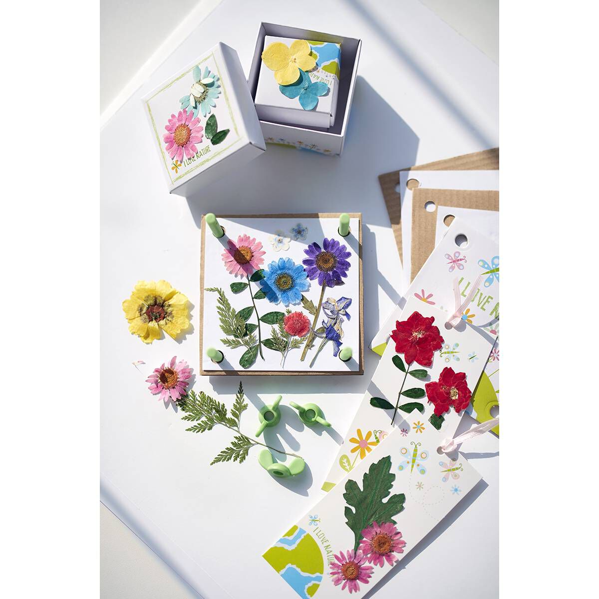Pressed Flower Art | Hobbycraft